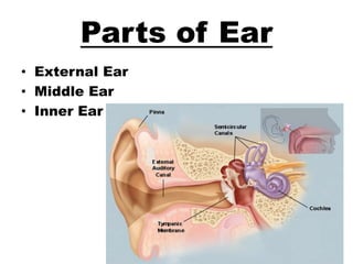 Tumours of Ear | PPTX