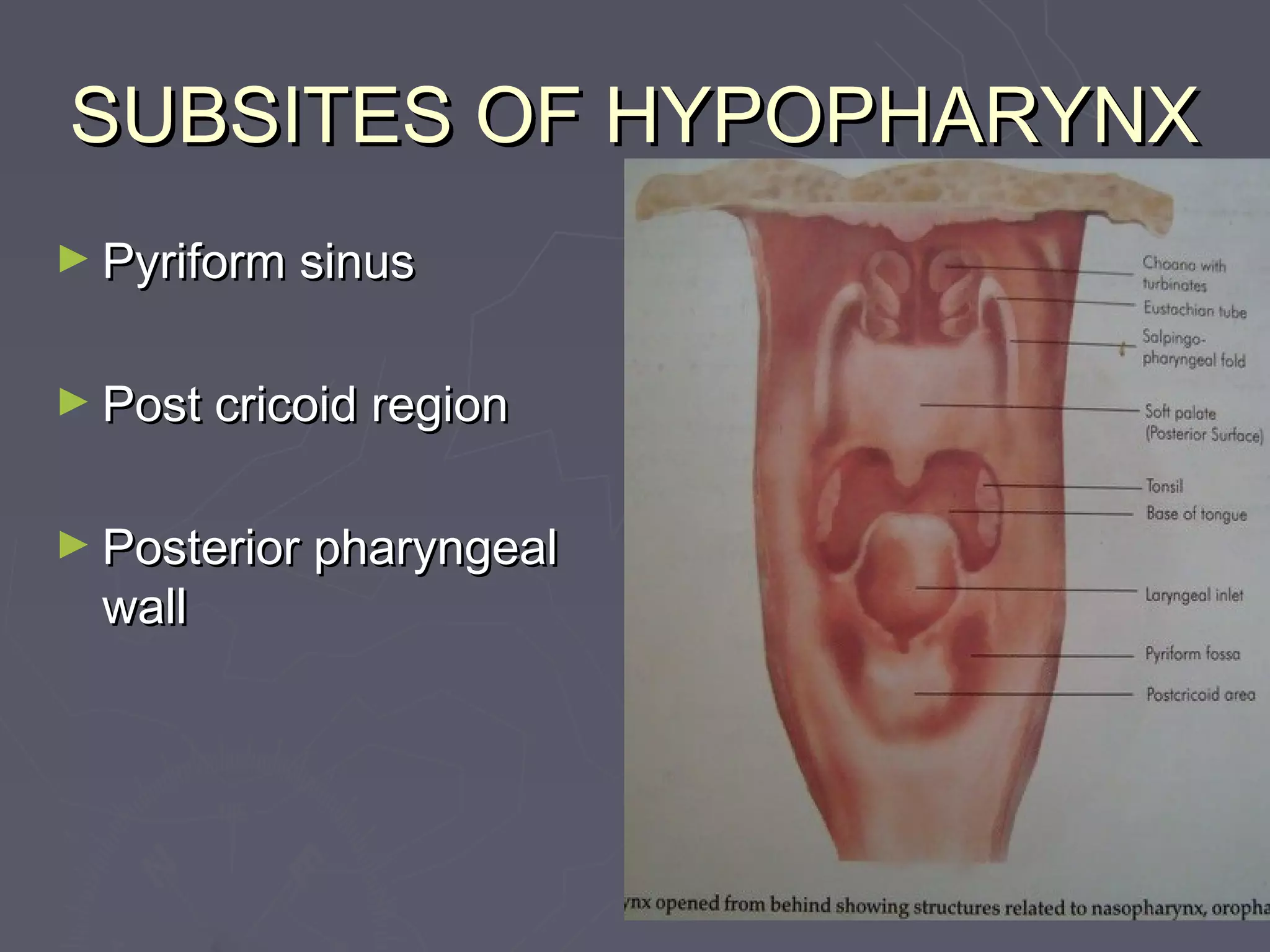 Tumours of hypopharynx | PPT