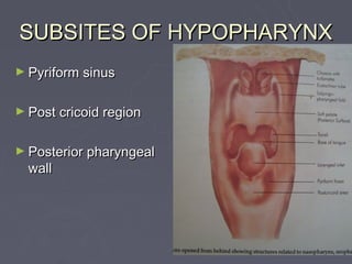 Tumours of hypopharynx | PPT