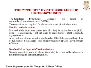 Microbiology:Tumor Suppressor Genes | PPT