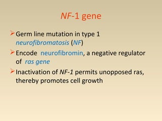 Tumour supressor gene | PPT