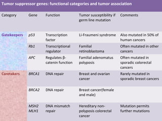 Tumour supressor gene | PPT