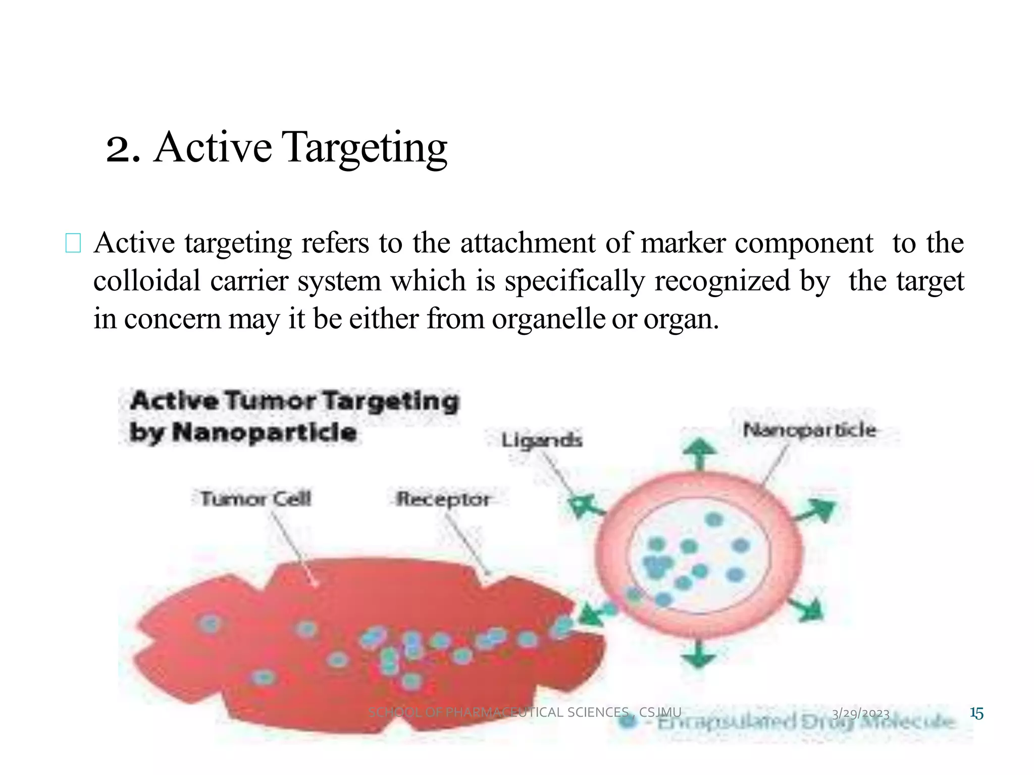 TUMOUR TARGETING DRUG DELIVERY SYSTEM.pptx