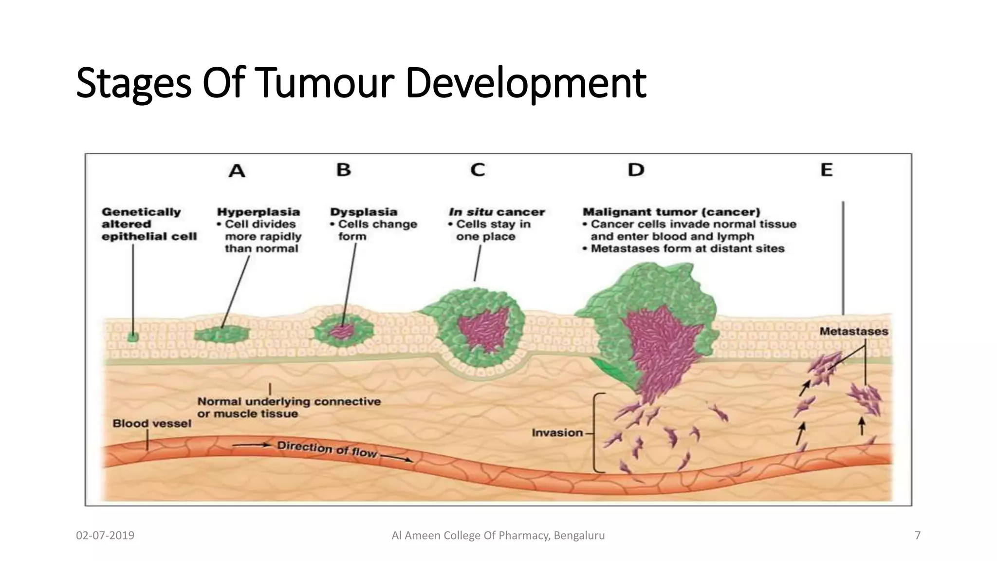 Tumour targeting | PPTX
