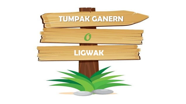 TUMPAK O LIGWAK (Balik-Aral) ajakwaldjss.pptx