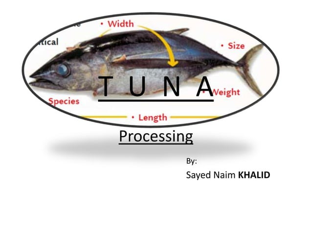 Tuna | PPTX