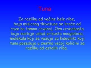 Tuna | PPT