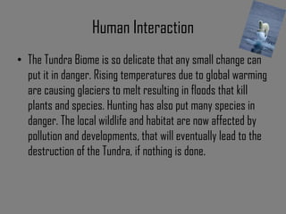 Tundra 1 | PPTX