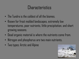 Tundra 1 | PPT