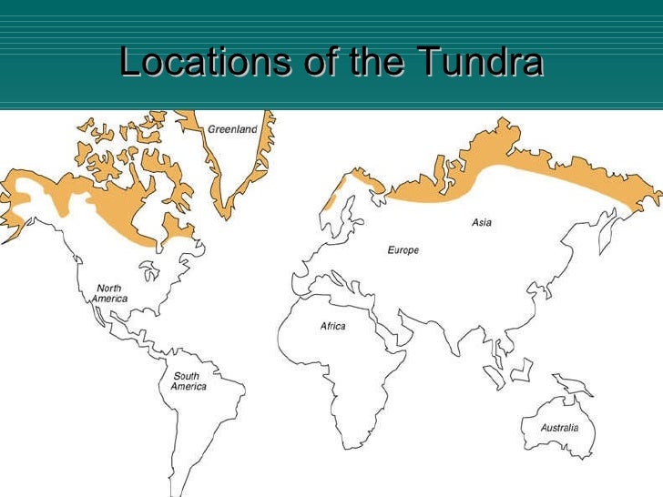 Tundra