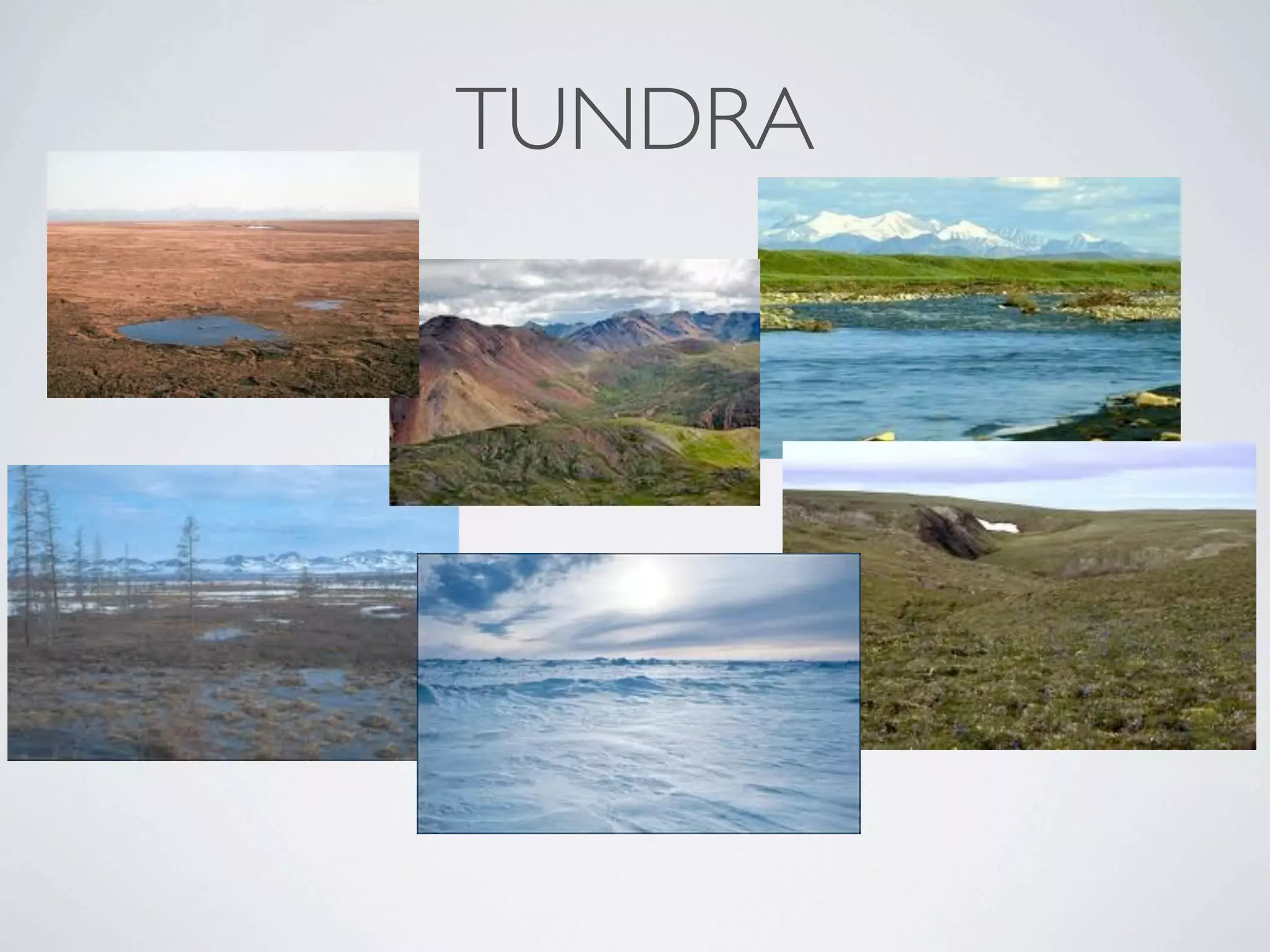 Tundra | KEY