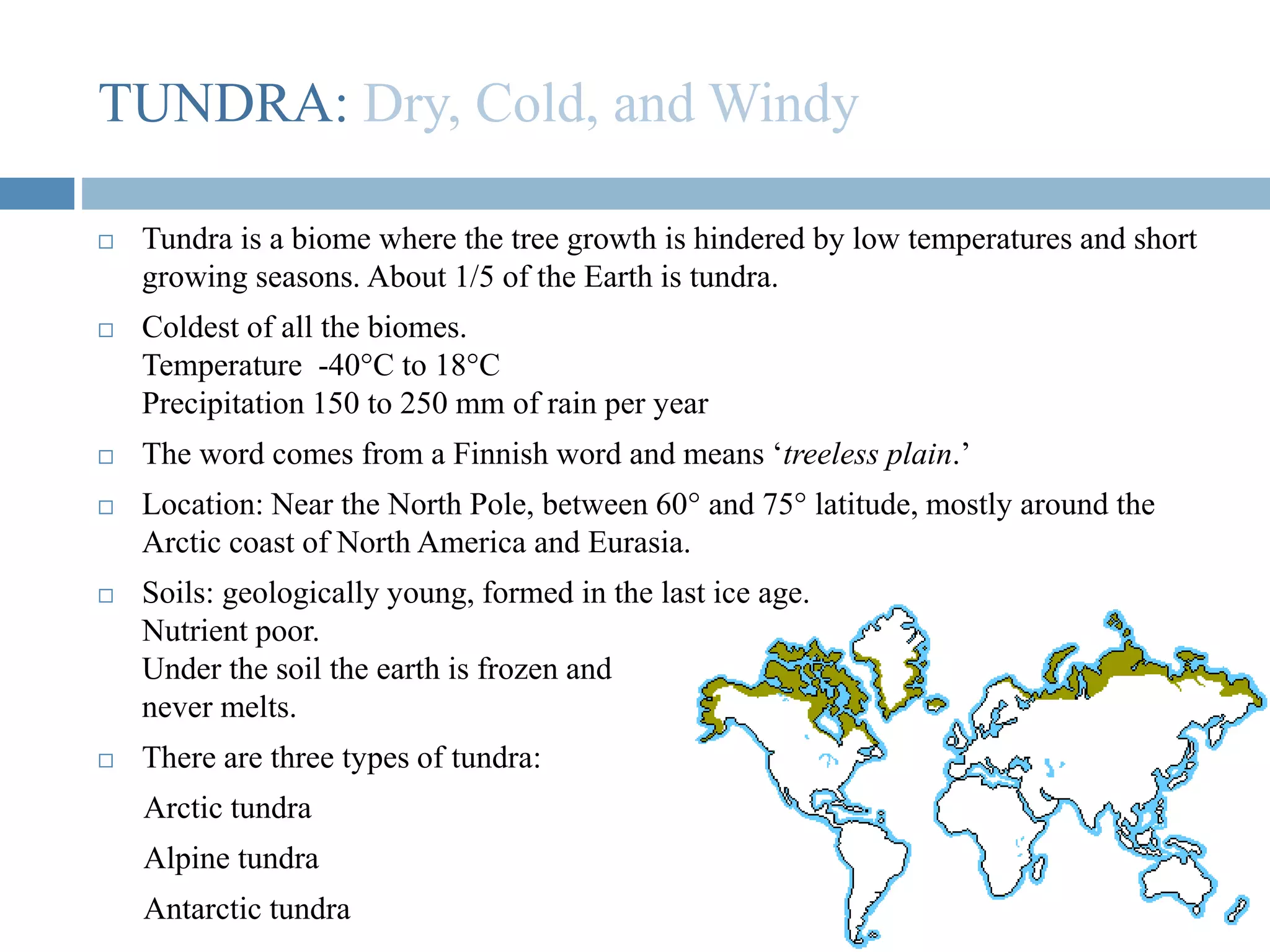 Tundra Biome | PPT