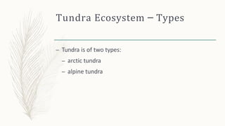 Tundra | PPTX