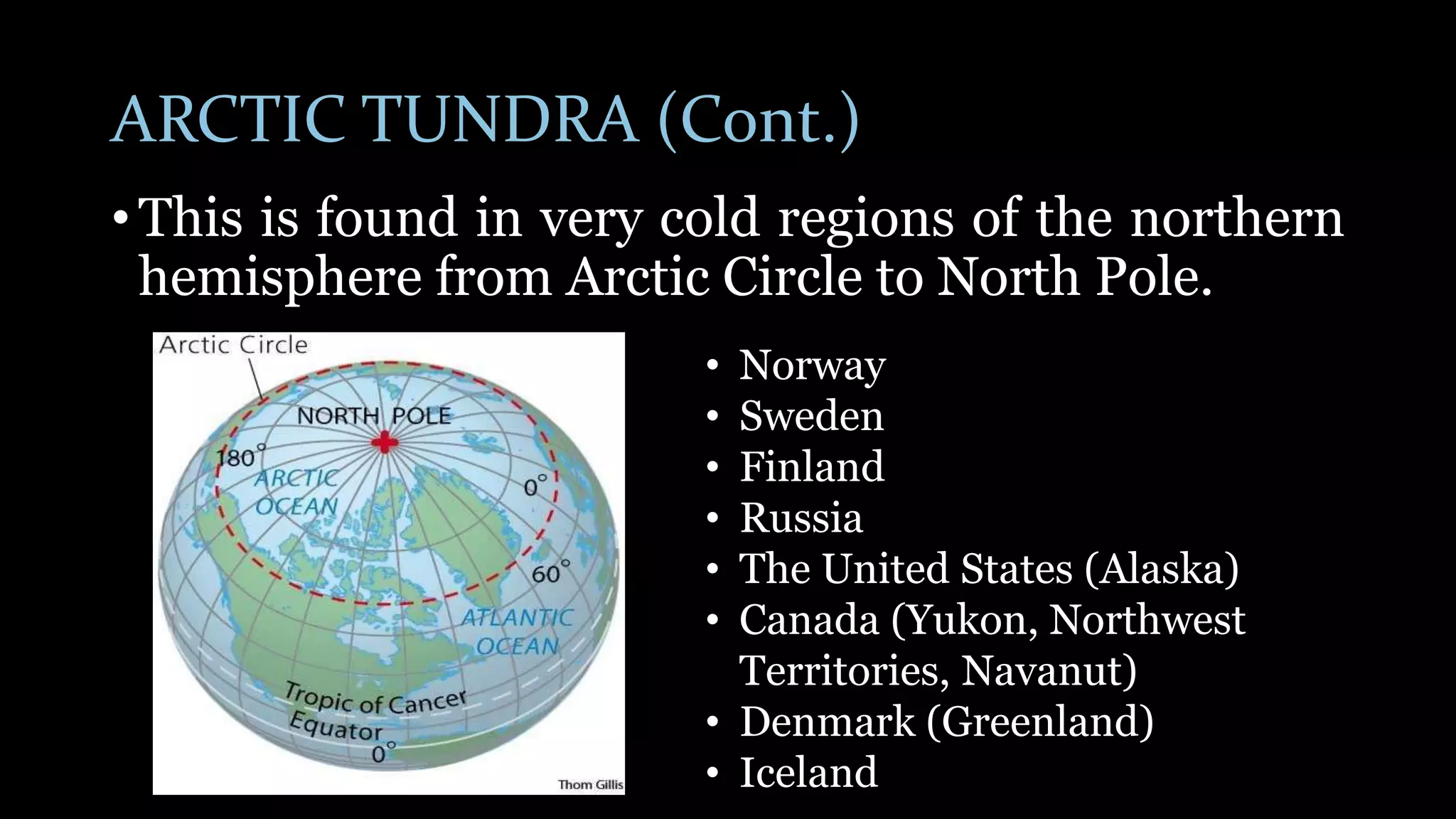 TUNDRA BIOME | PPTX