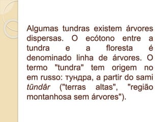 TUNDRA - GEOGRAFIA.pptx