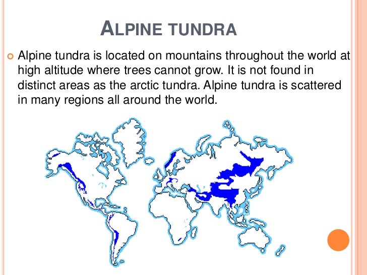 Tundra Land Biome Description And Characteristics