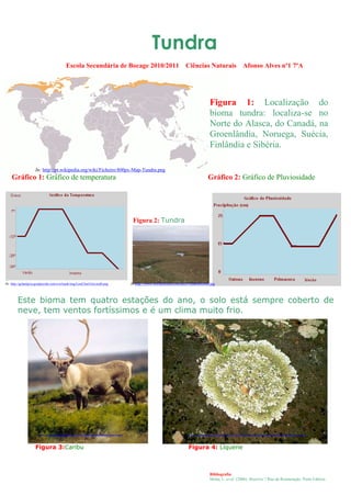 Tundra | DOCX