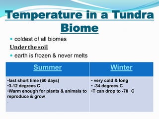 Tundra biome | PPTX