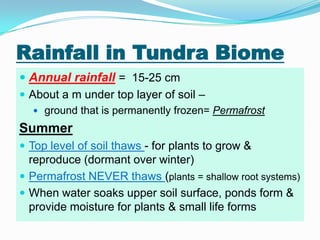 Tundra biome | PPTX