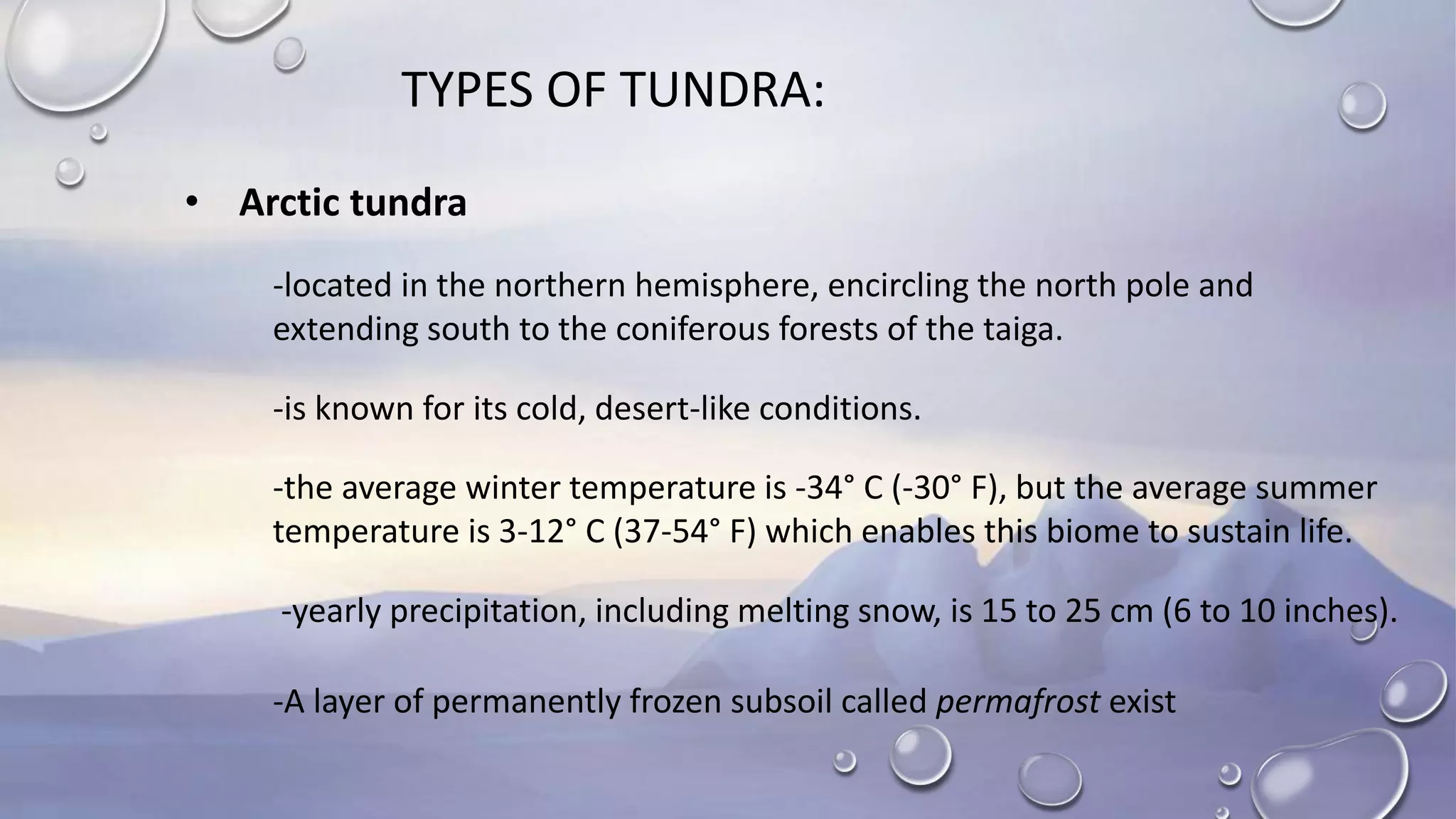 Tundra Biome | PPT