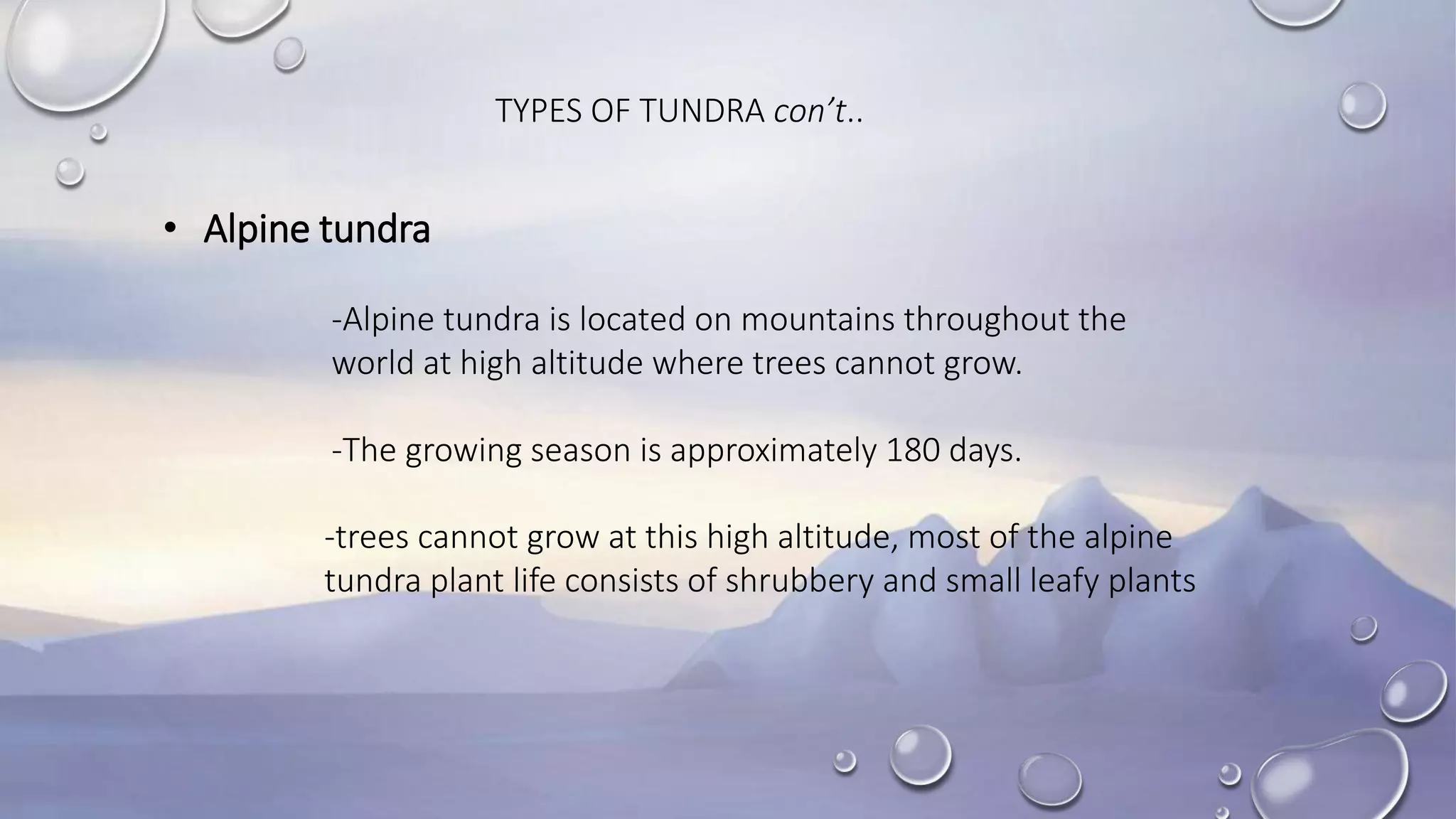 Tundra Biome | PPTX