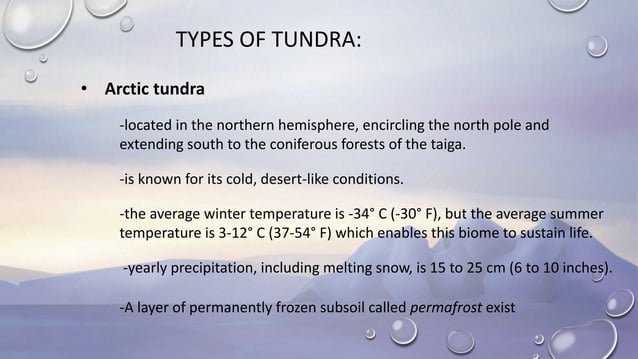 Tundra Biome | PPT