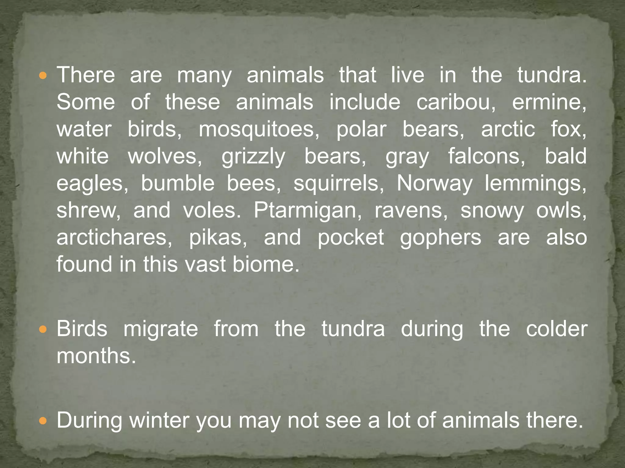 Tundra biomes | PPTX