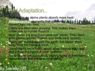 How Does Labrador Tea Adapt To The Tundra