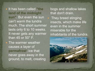 Tundra Biome Insects