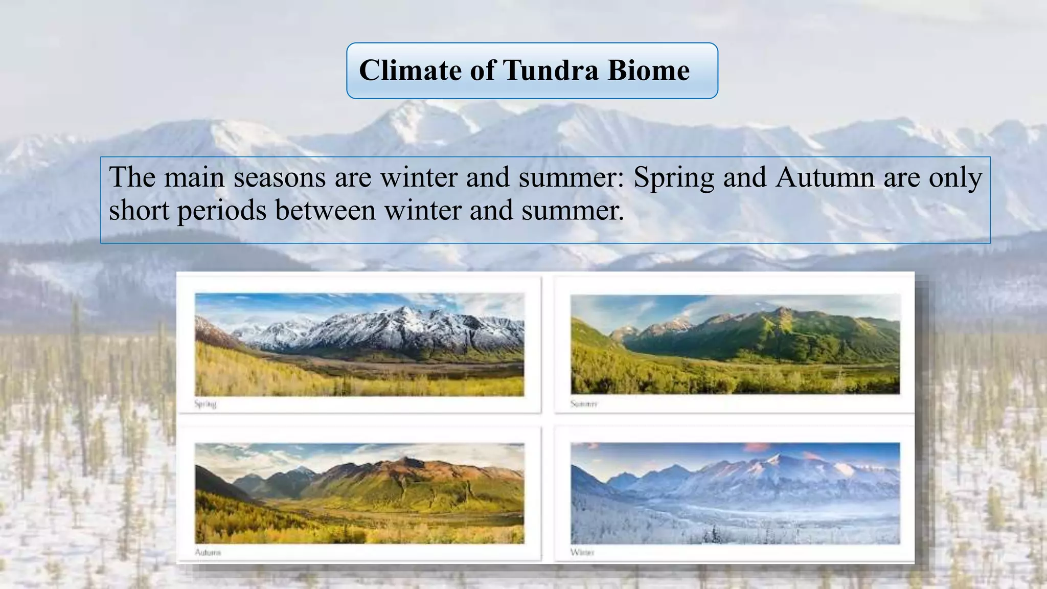 Tundra Biome - A descriptive study | PPT