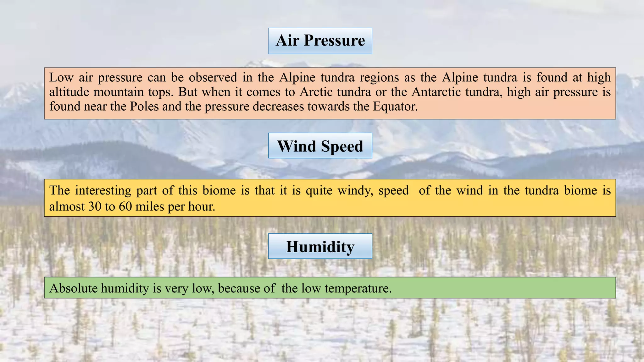 Tundra Biome - A descriptive study | PPT