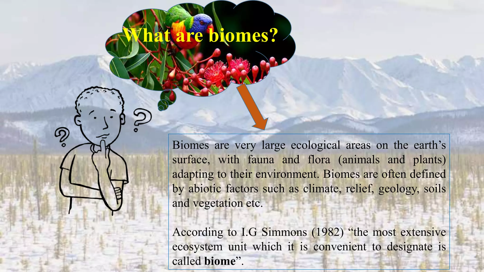 Tundra Biome - A descriptive study | PPT