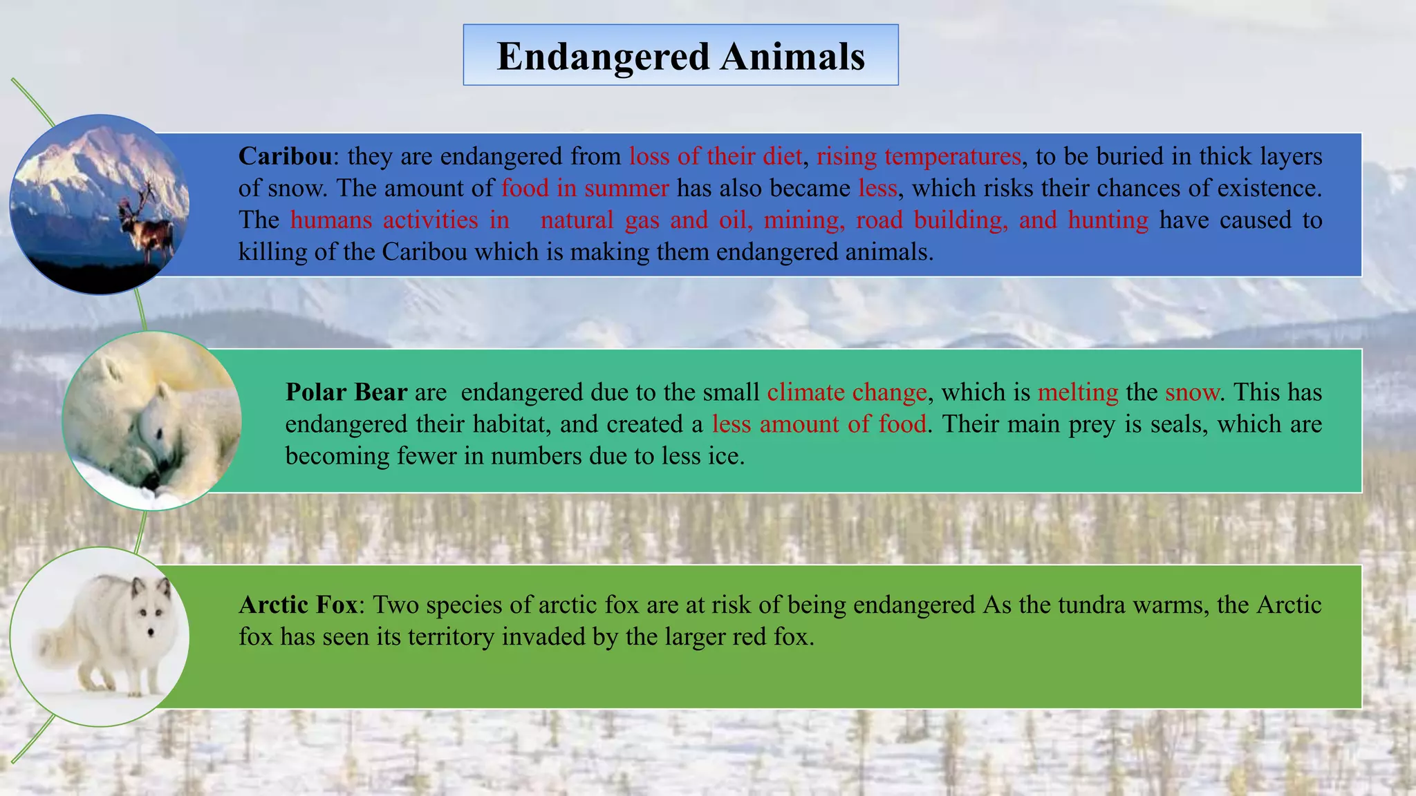 Tundra Biome - A descriptive study | PPT