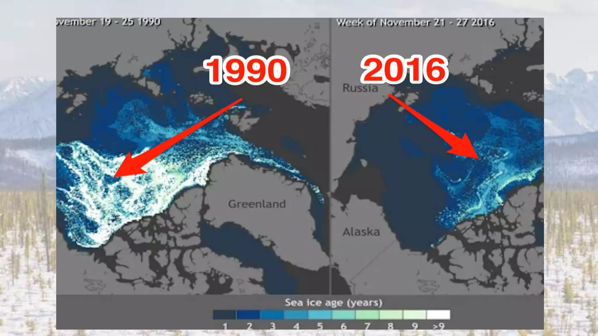 Tundra Biome - A descriptive study | PPT