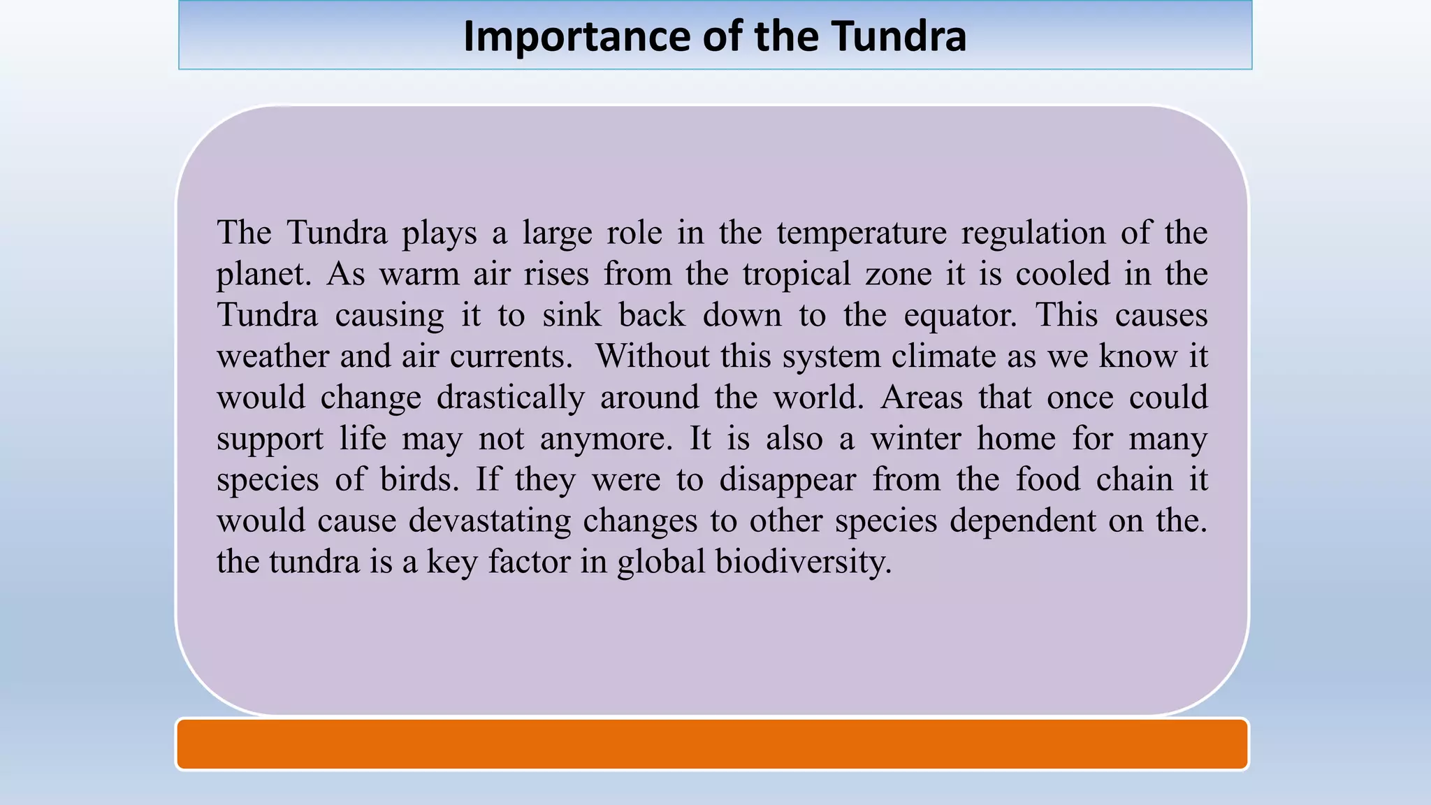 Tundra Biome - A descriptive study | PPT