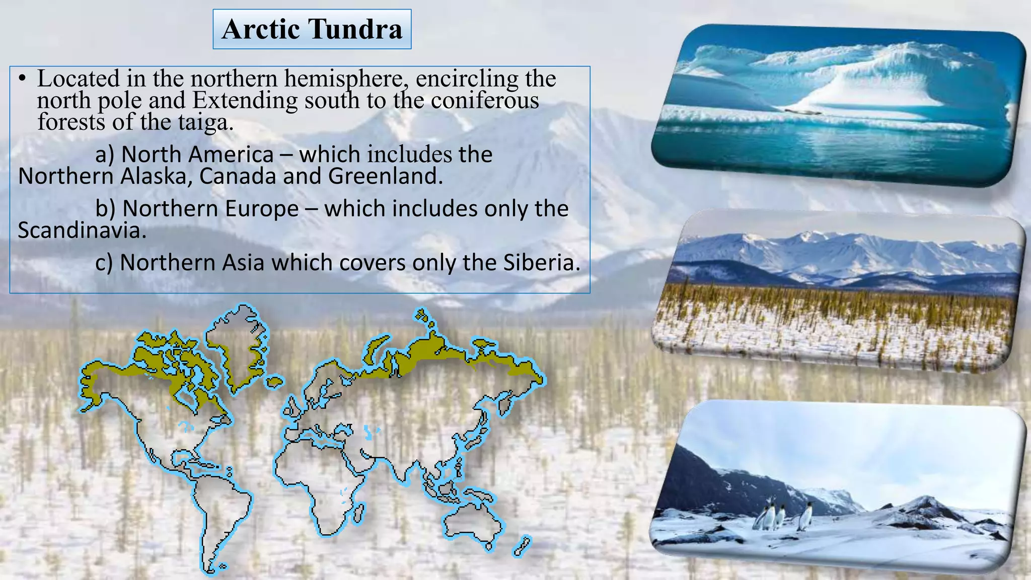 Tundra Biome - A descriptive study | PPT