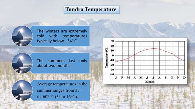 Tundra Biome - A descriptive study | PPT