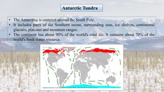 Antarctic Tundra Biome