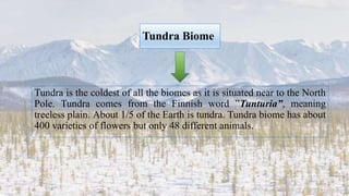 Tundra Biome