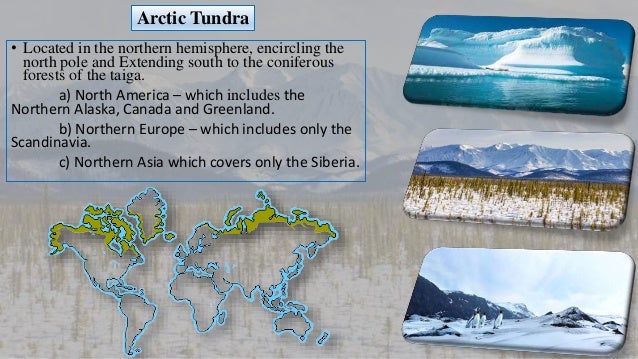 Tundra Land Biome Description And Characteristics