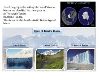 Tundra forest | PPT