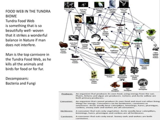 Tundra Biome Food Web