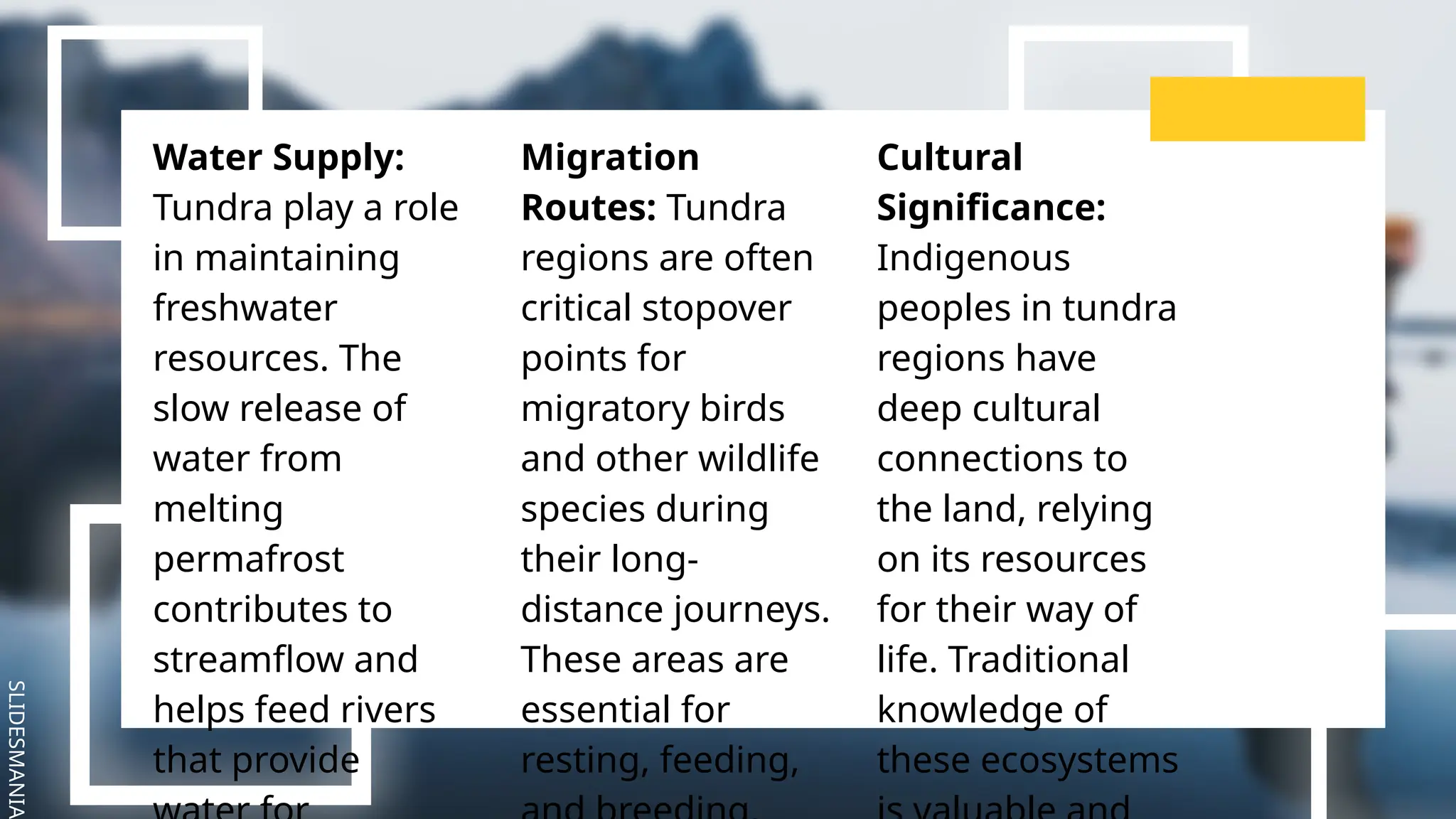 Different types of ecosystems: Tundra ecosystem | PPTX