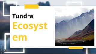Different types of ecosystems: Tundra ecosystem | PPTX