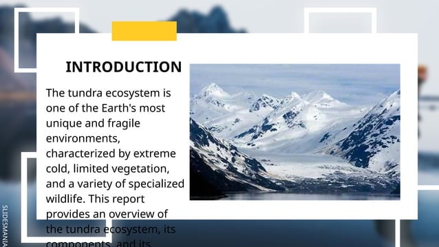 Different types of ecosystems: Tundra ecosystem | PPTX