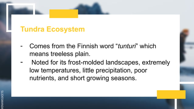 Different types of ecosystems: Tundra ecosystem | PPTX