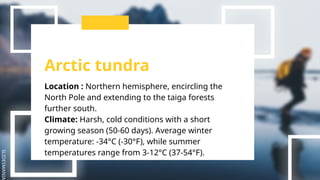 Different types of ecosystems: Tundra ecosystem | PPTX