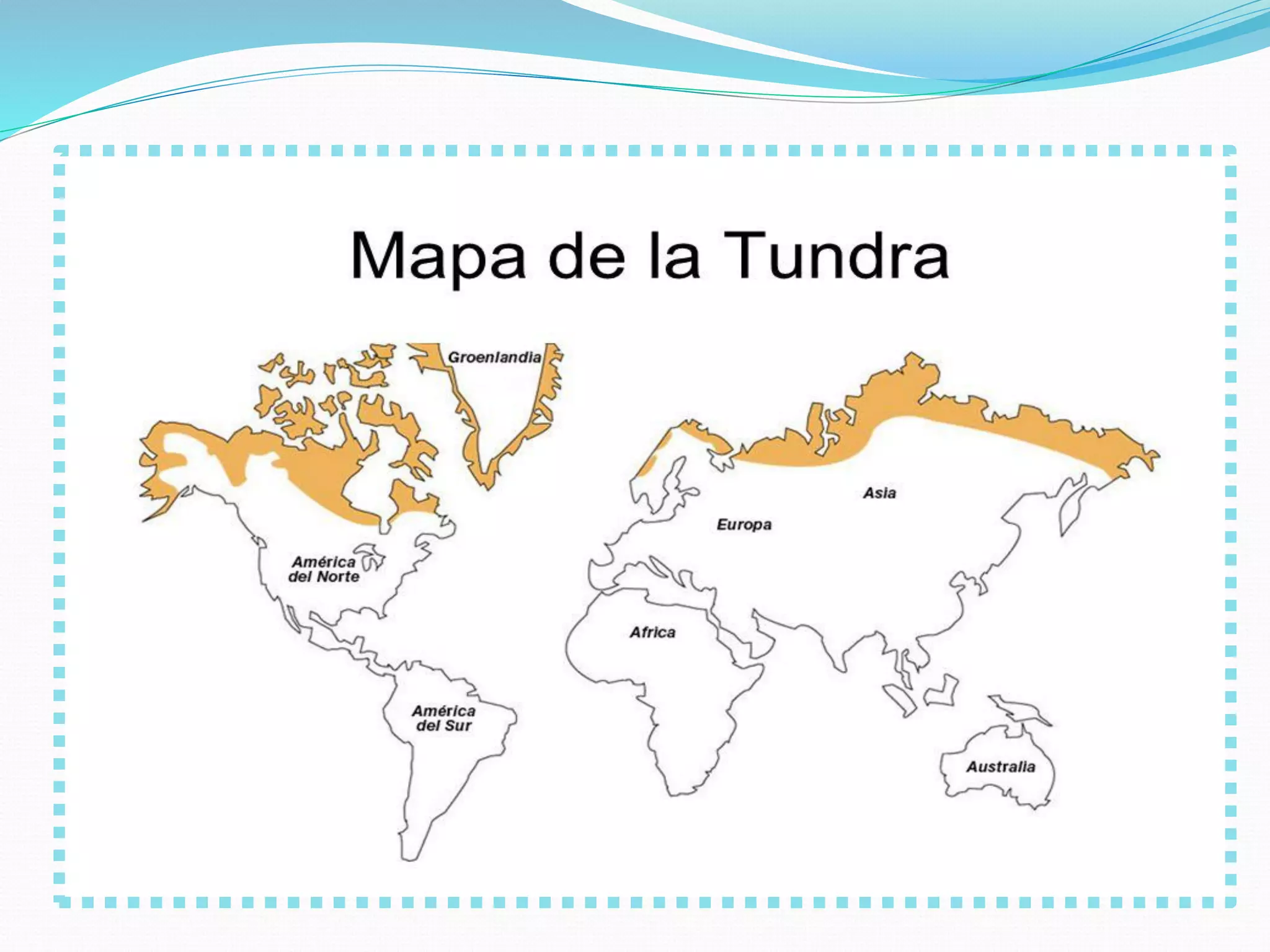 Tundra, ecosistema, bioma | PDF