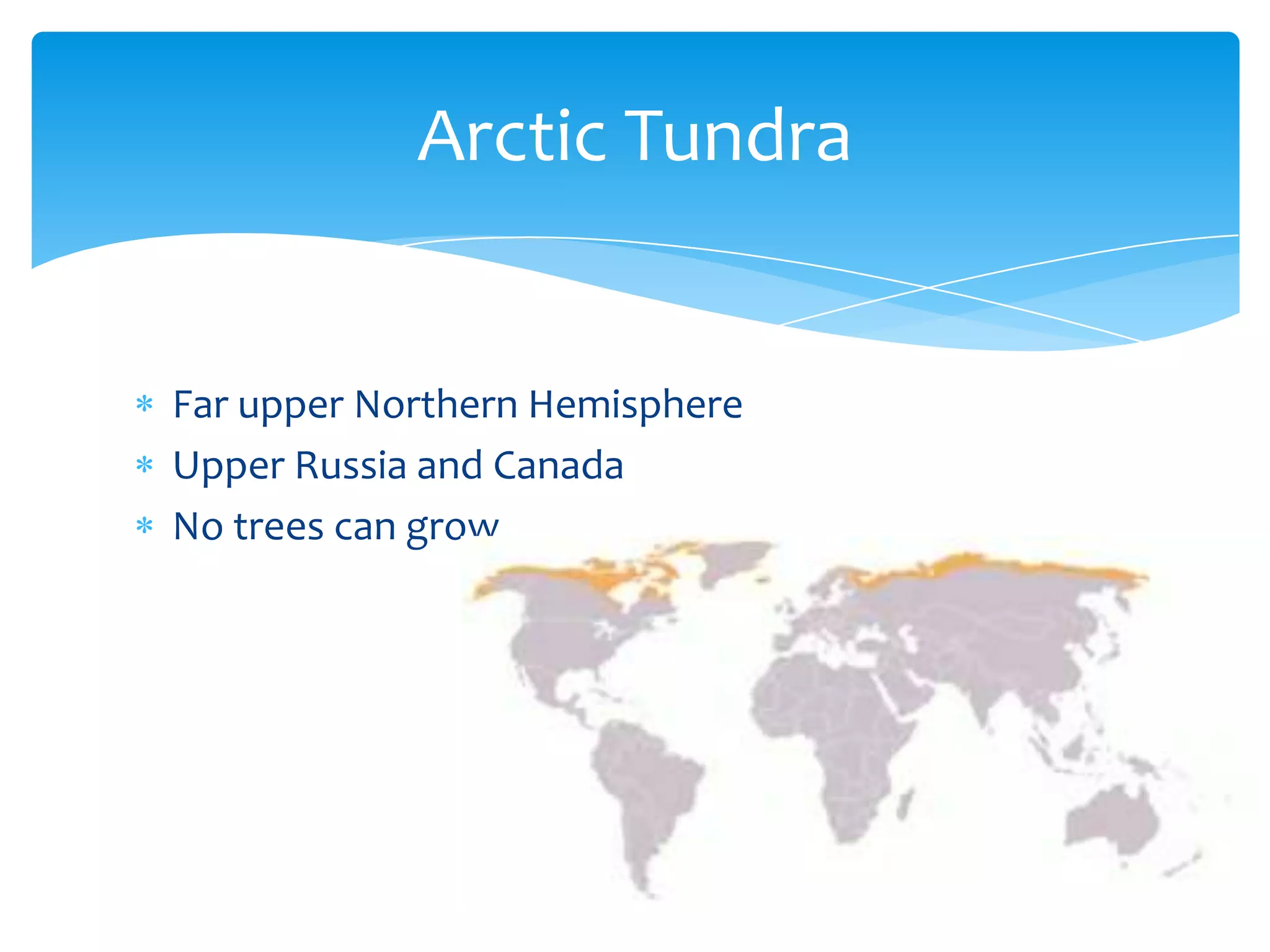 Tundra Powerpoint - B.C. Science 10 Ecology | PPTX