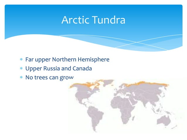 Tundra Powerpoint - B.C. Science 10 Ecology | PPTX